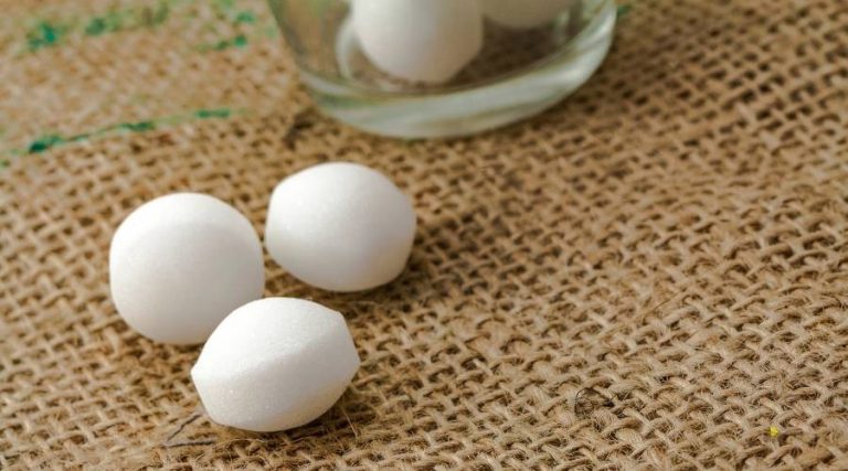 A Guide To Keeping Bats Away From Your House